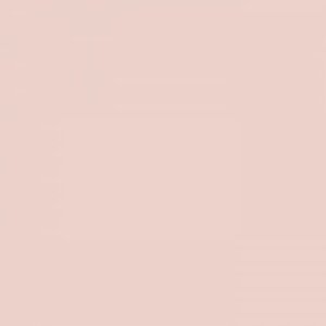 Buy Pink Slip (220) price: 60 AED in Dubai. | coverpaint.ae